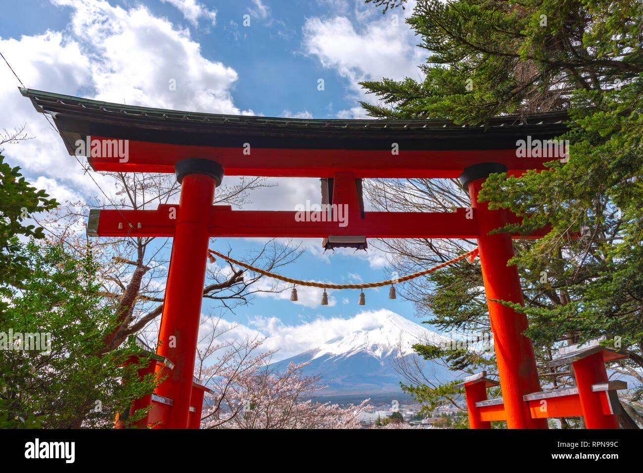 Torii Gate with Mount Fuji ( Mt. Fuji ) in cherry blossoms springtime ...