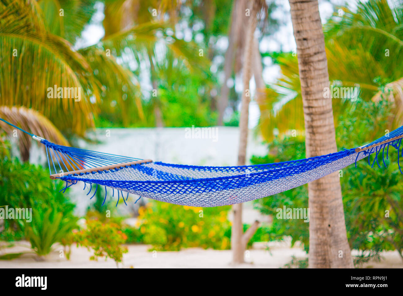 Straw hammock in the shadow of palm on tropical beach by sea Stock ...