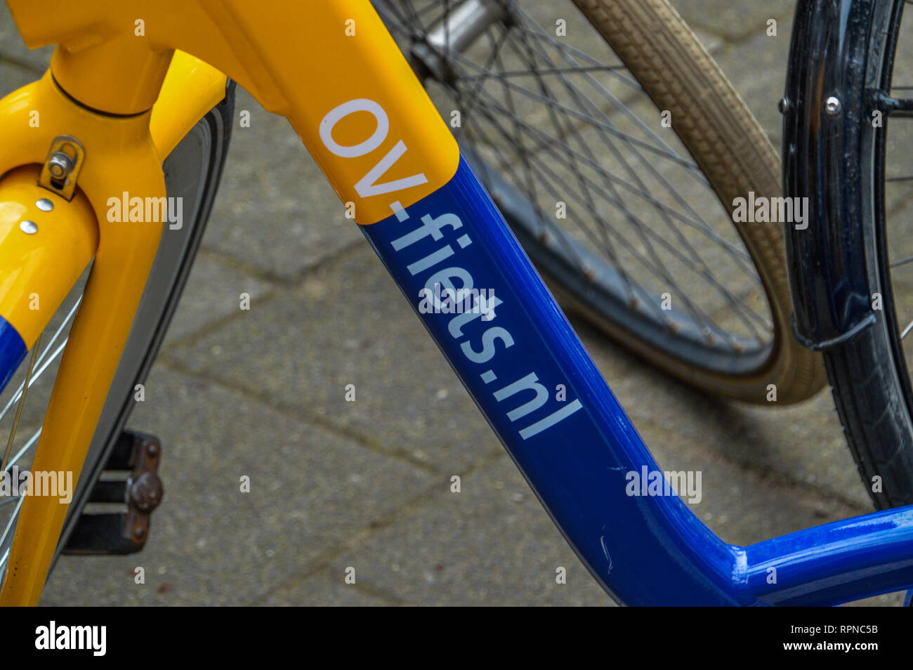 Frame Of A OV-Bicycle At Amsterdam The Netherlands 2018 Stock Photo - Alamy