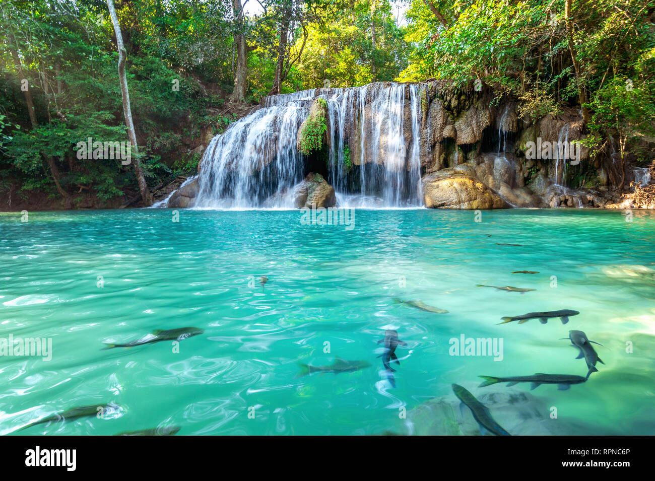 Erawan waterfall in Thailand. Beautiful waterfall with emerald pool in ...