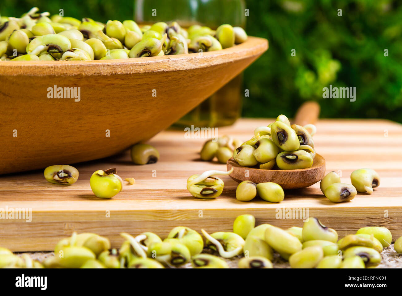 Green string bean typical hi-res stock photography and images - Alamy