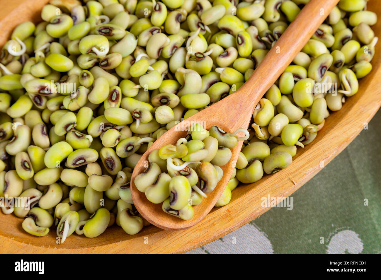 Dende Oil High Resolution Stock Photography and Images - Alamy