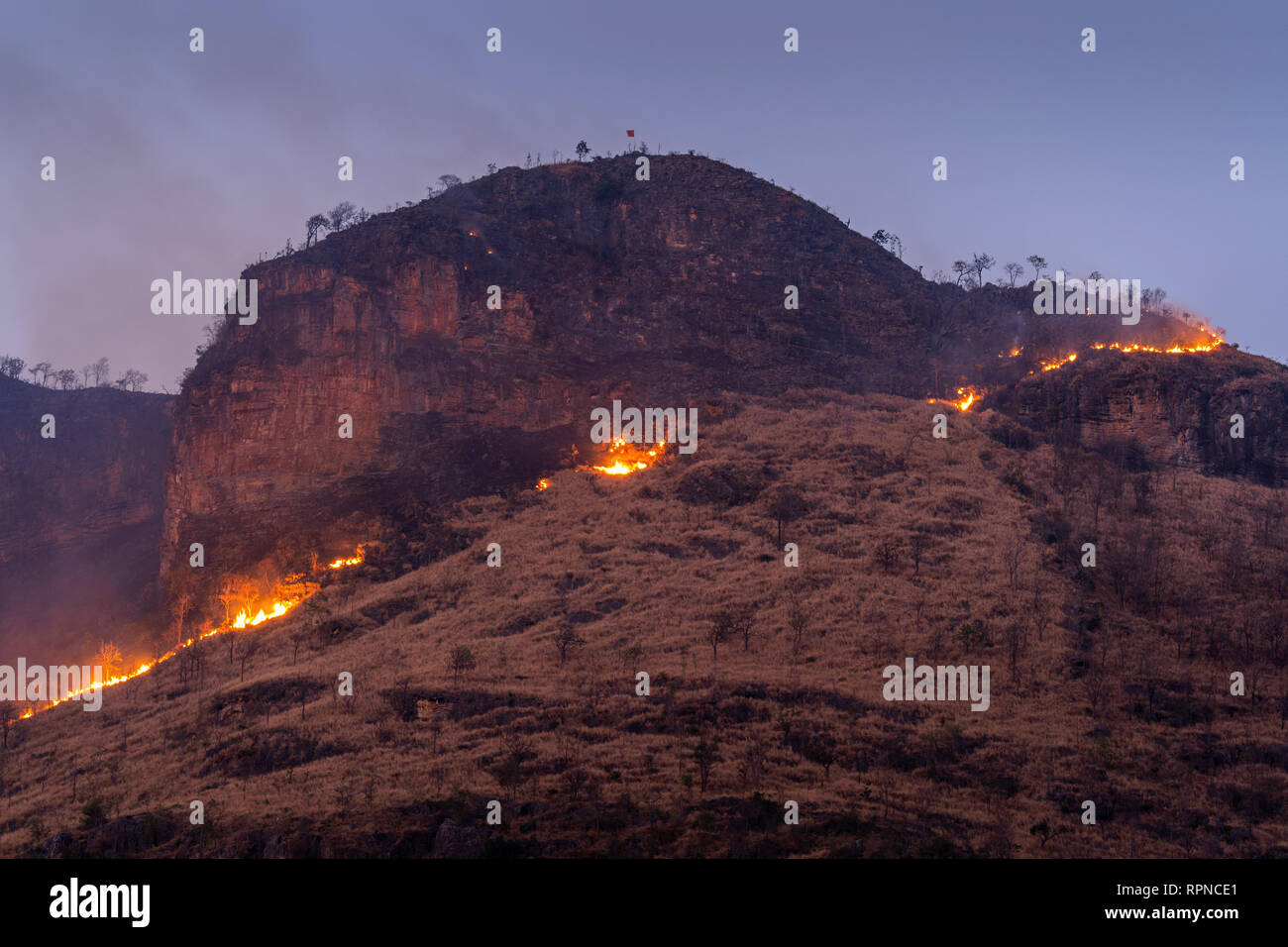 Forest fire on mountains Stock Photo - Alamy