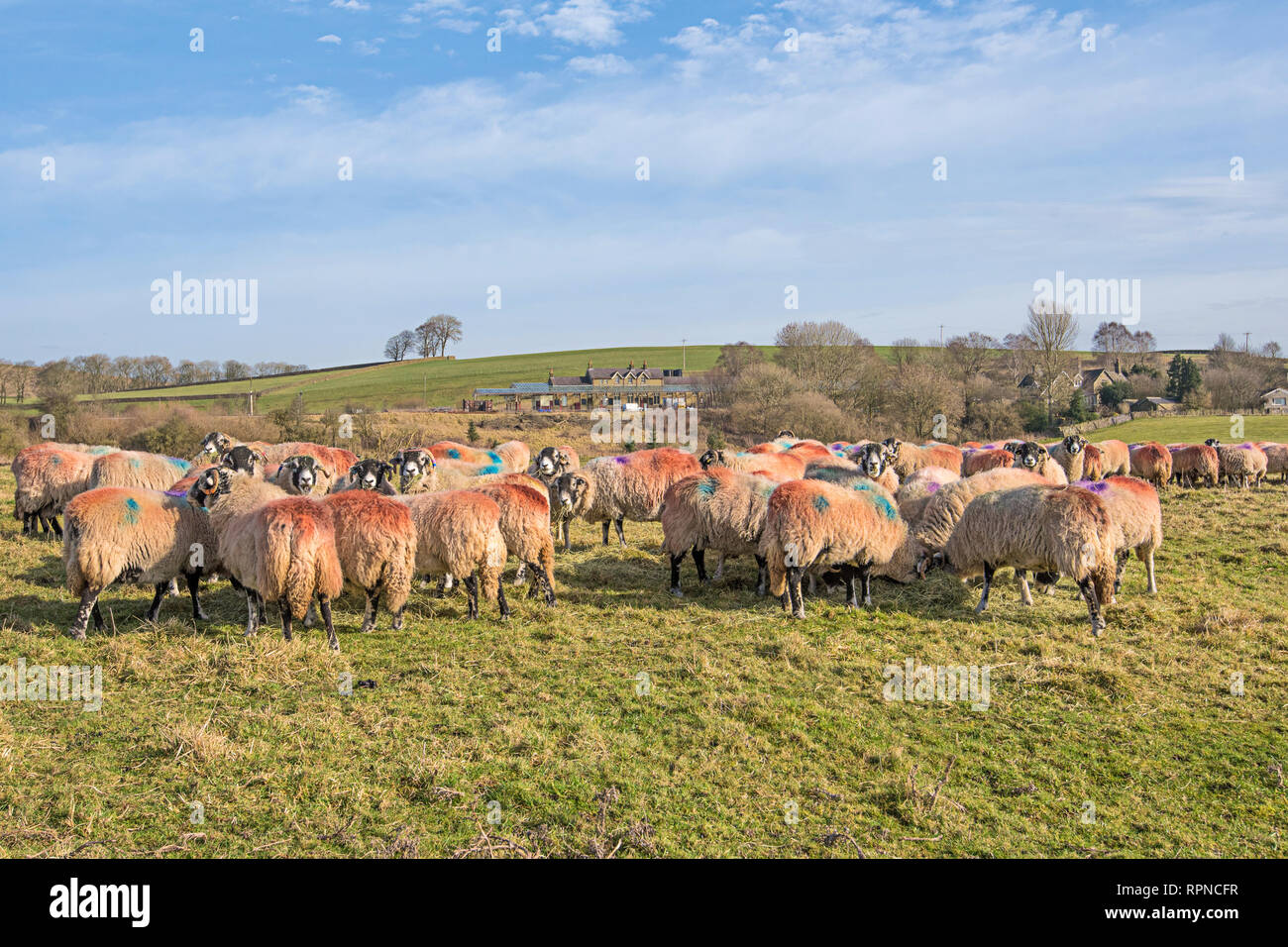 Hellifield Station and Flashes Stock Photo - Alamy