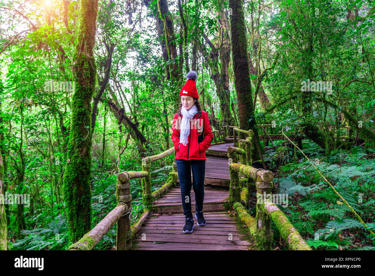 Tourist walking in Ang ka nature trail at Doi Inthanon national park ...