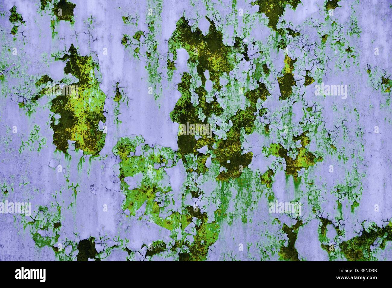 Wall is rusty with shabby paint purple magenta. texture. background ...