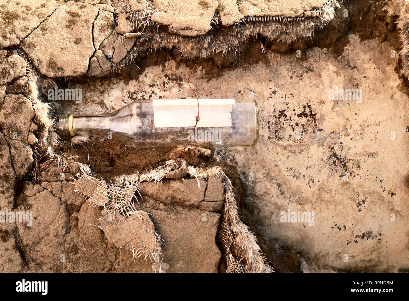 bottle of vodka in the old concrete wall of the wall. background ...