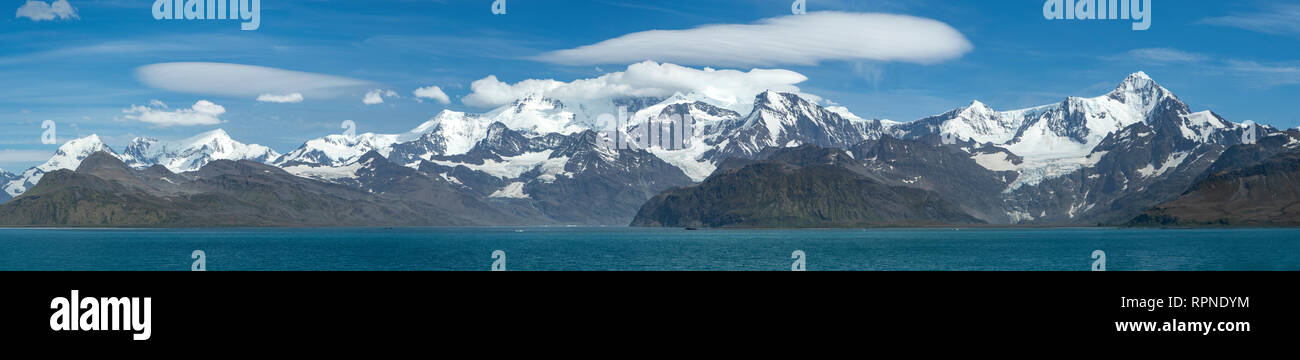 South georgia coastline hi-res stock photography and images - Alamy