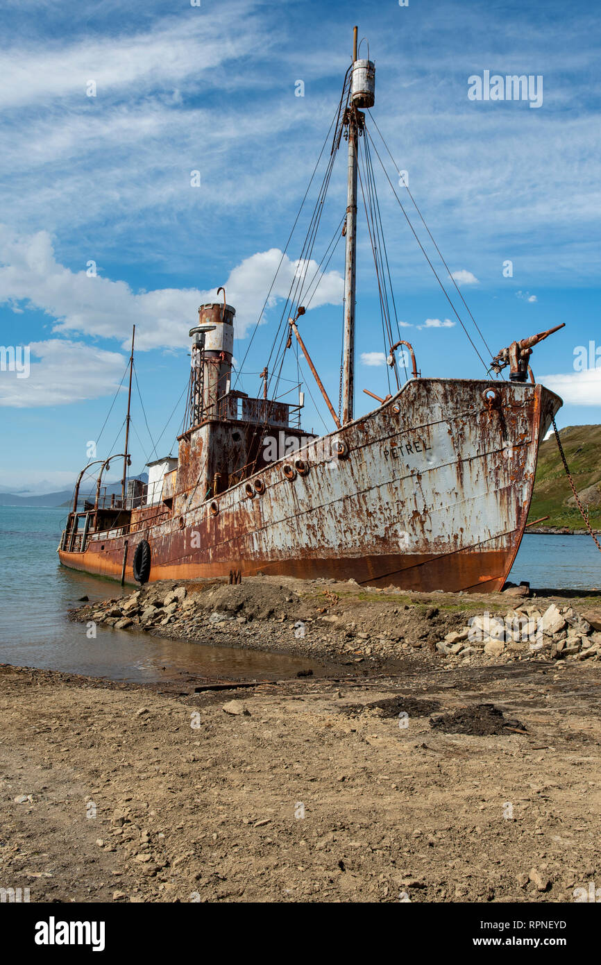Wreck of the Petrel at Grytviken, South Georgia Stock Photo - Alamy