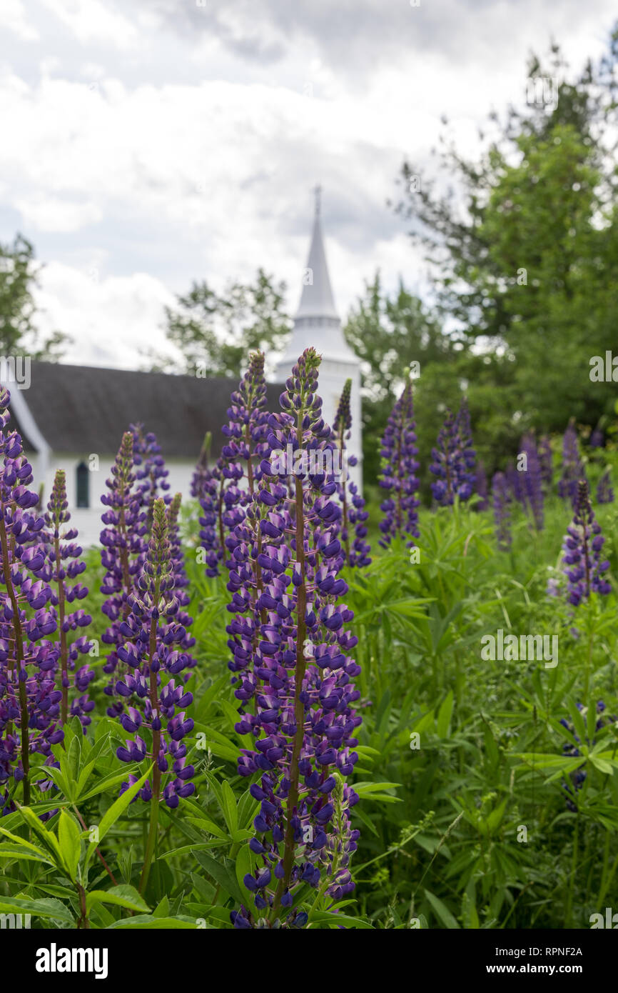 Visitnh hi-res stock photography and images - Alamy