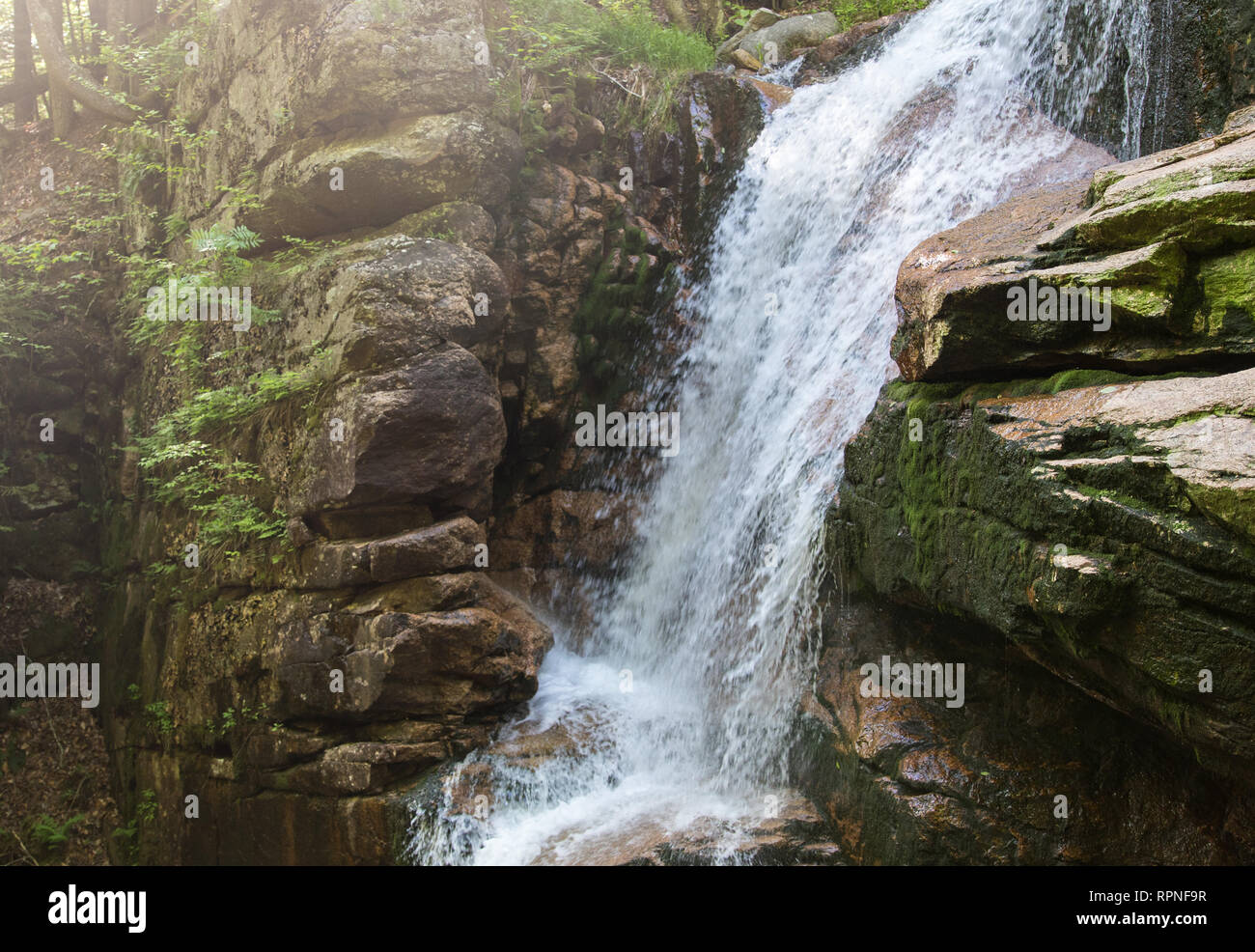 Grafton notch state park hi-res stock photography and images - Alamy