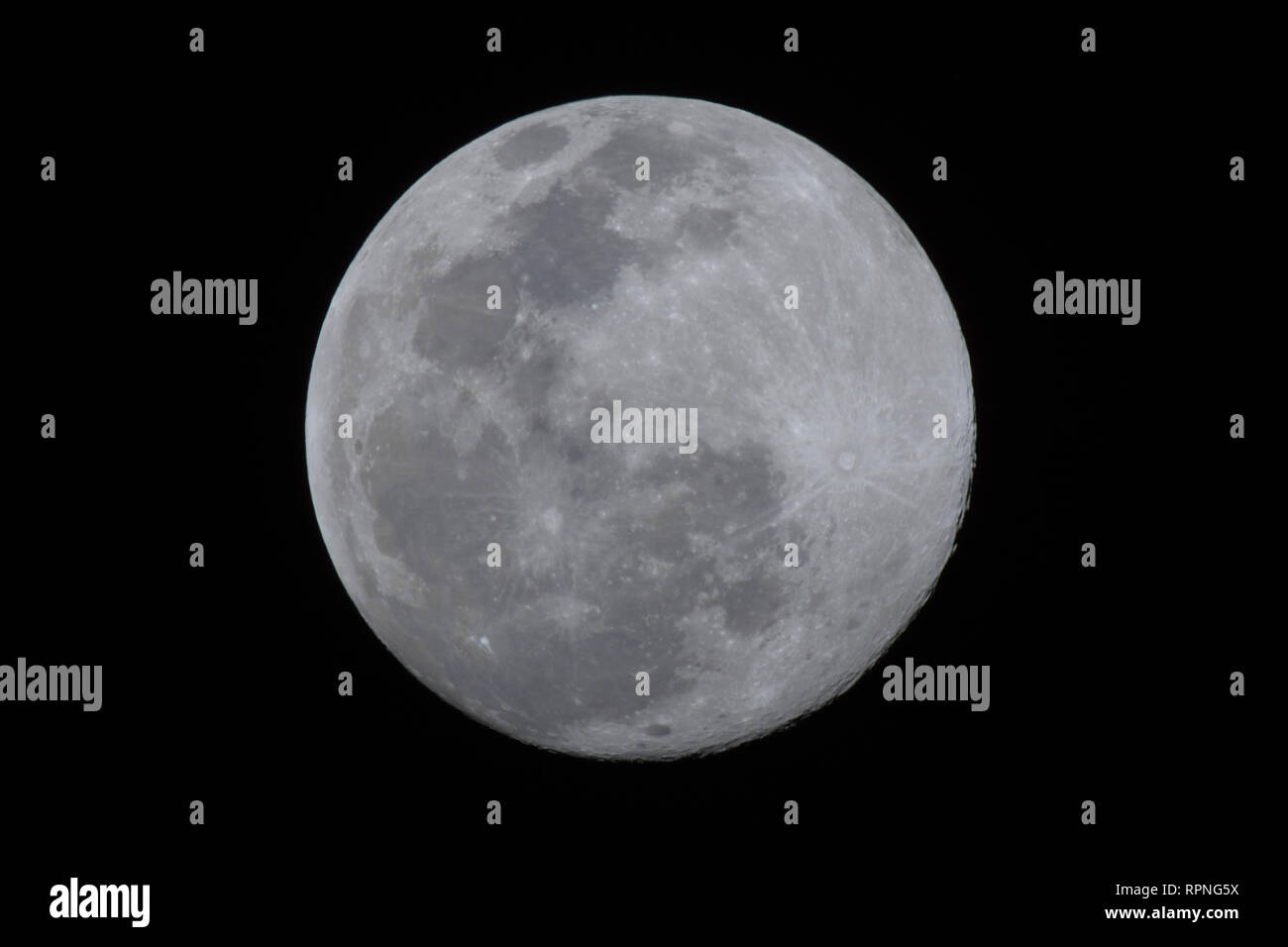 Close-up of a full moon Stock Photo - Alamy