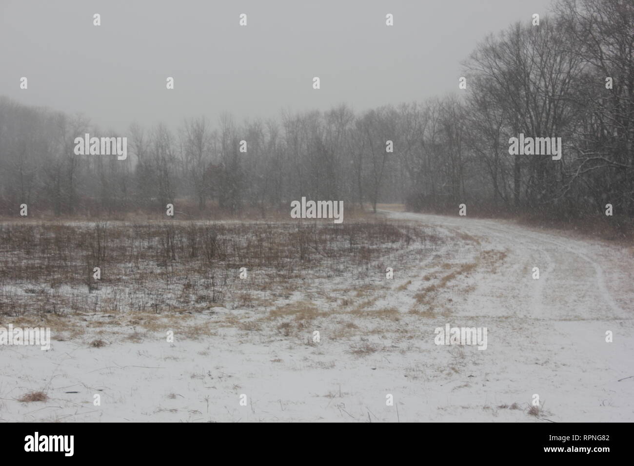 Nuclear winter wasteland hi-res stock photography and images - Alamy