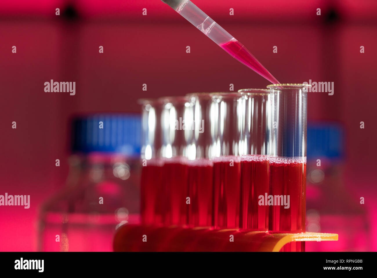 Test tube in rack and pipette media dispenser Stock Photo - Alamy