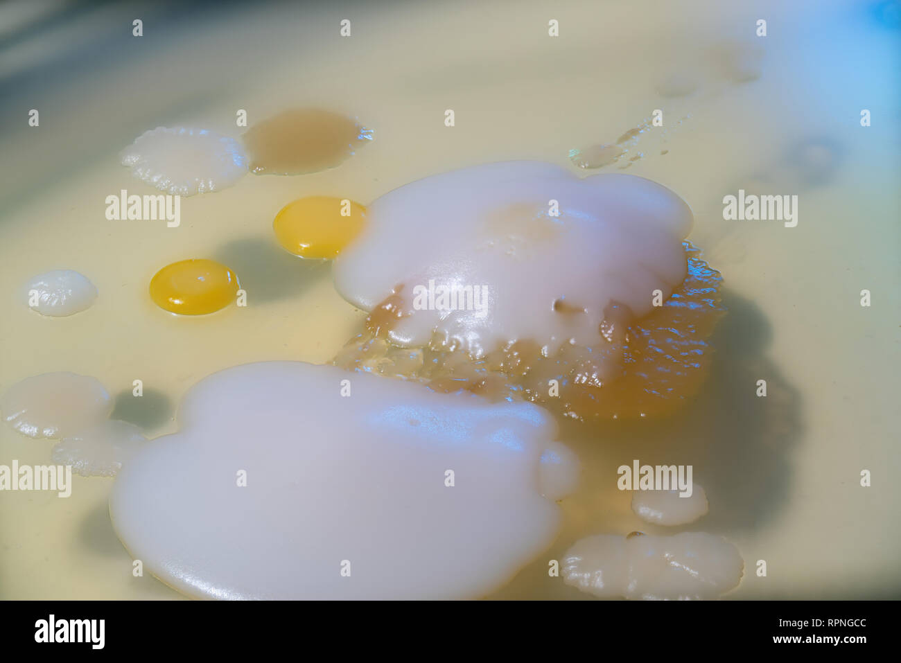 Coliform bacteria hi-res stock photography and images - Alamy