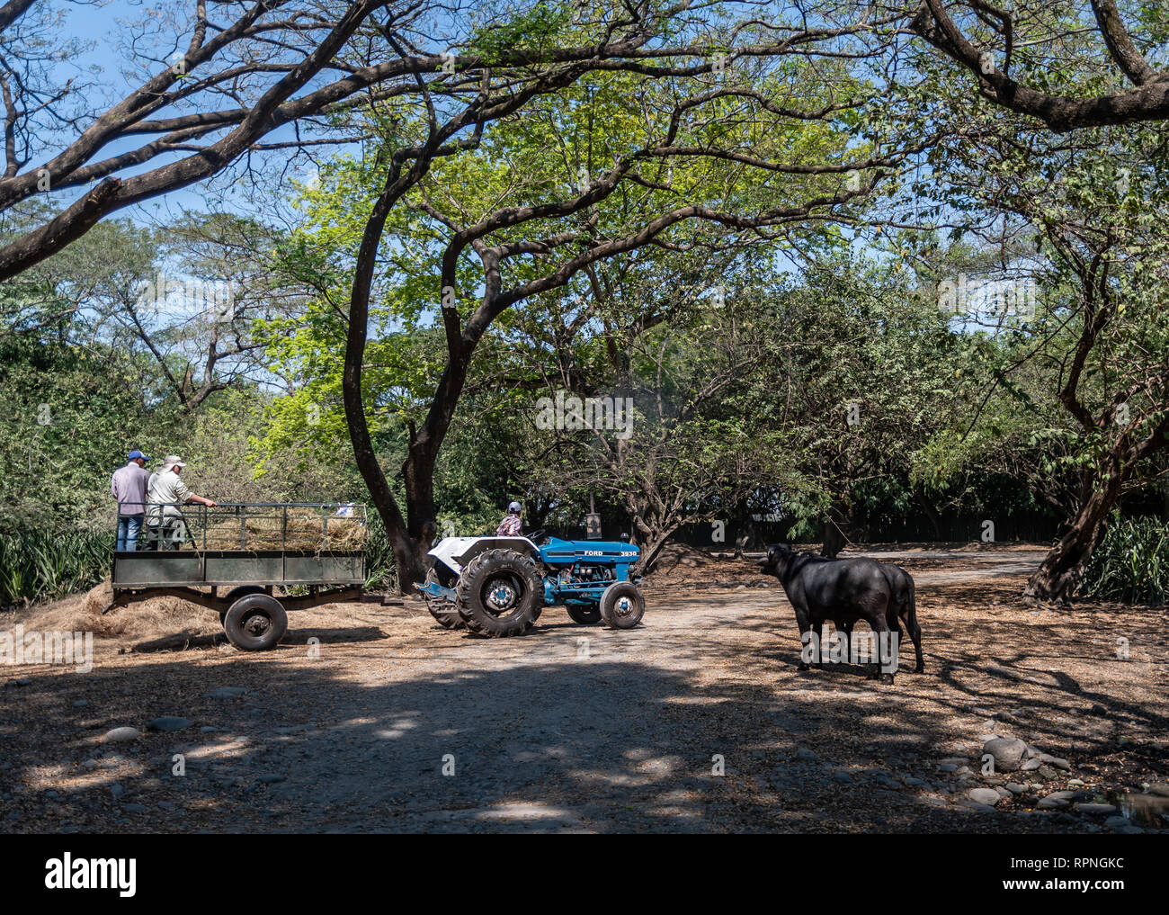 Buffalo Tractor High Resolution Stock Photography and Images - Alamy