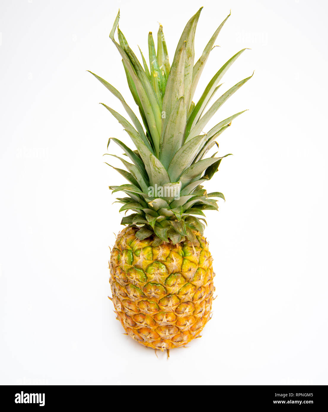 ananas Isolated on white background Stock Photo - Alamy