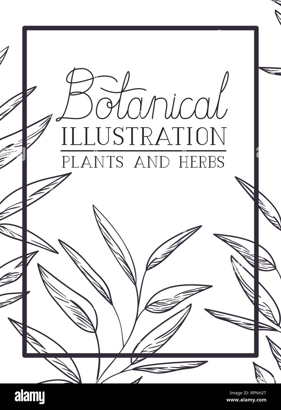 botanical illustration label with plants and herbs Stock Vector Image ...