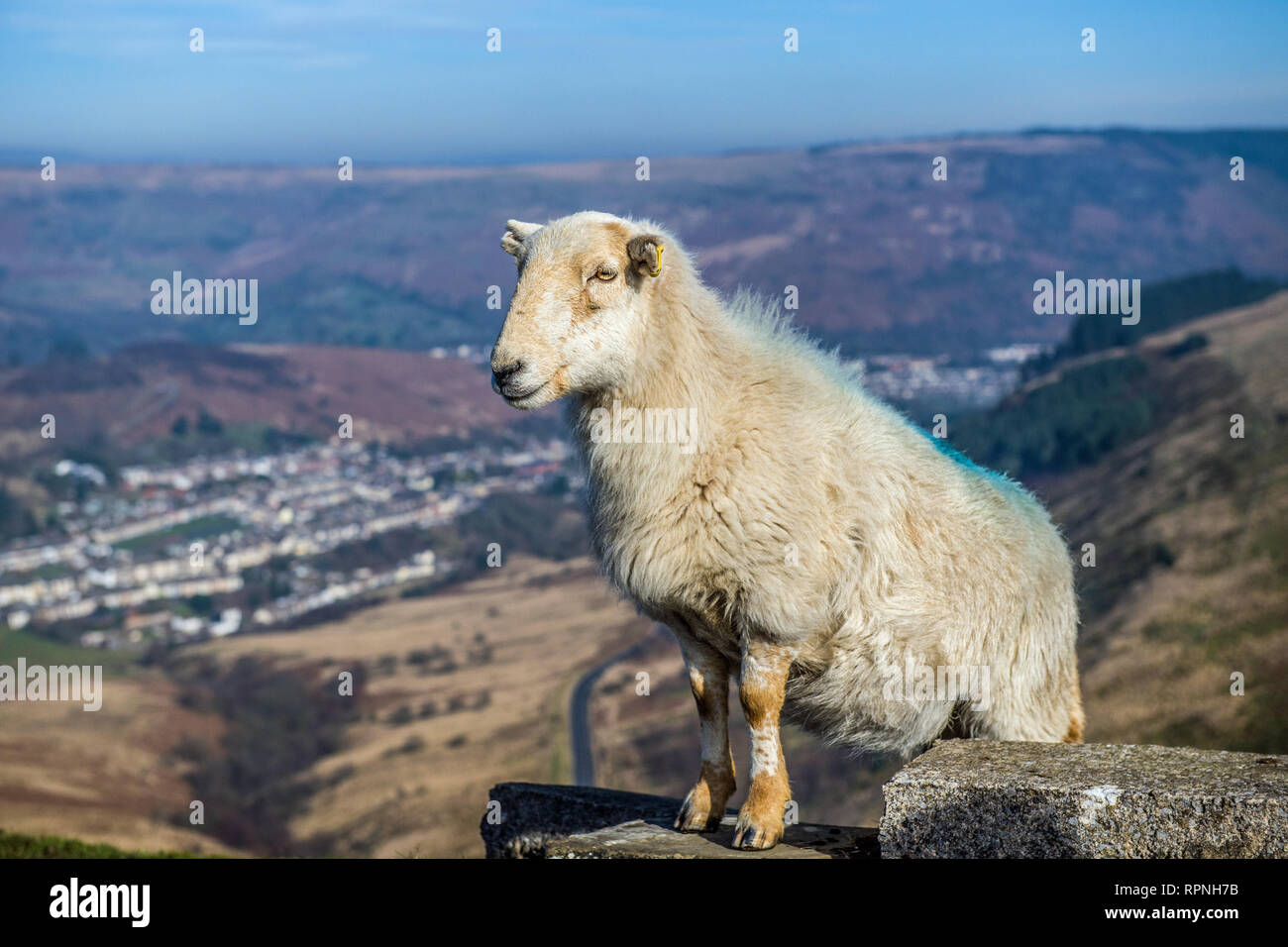 Bwlch y clawdd pass hi-res stock photography and images - Alamy