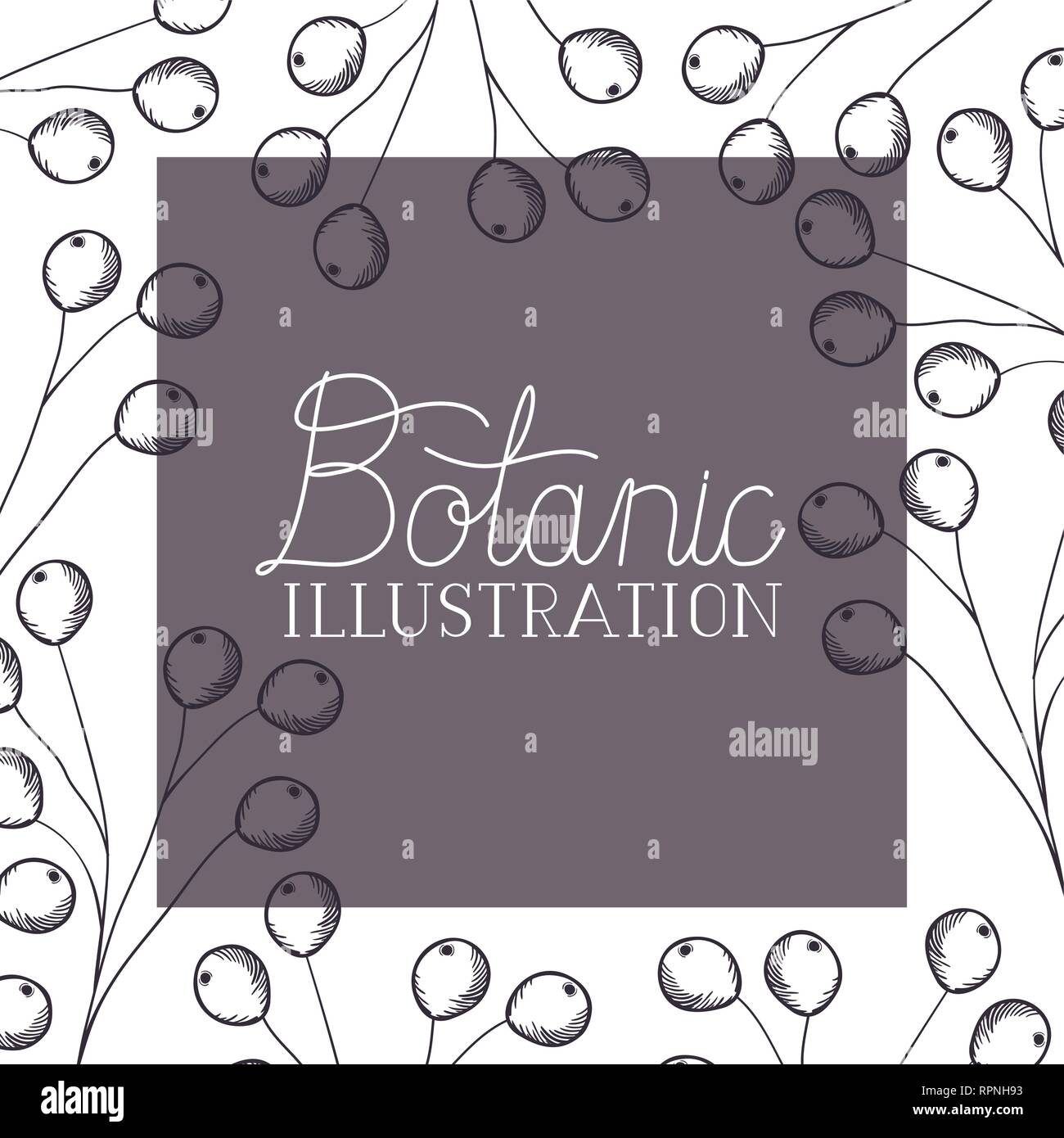 botanic illustration label with plants Stock Vector Image & Art - Alamy