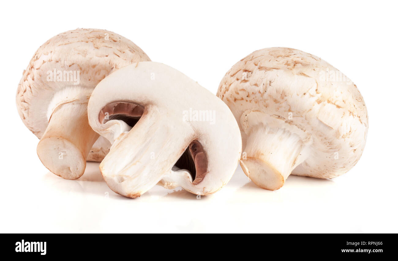 Fresh champignon mushrooms isolated on white background Stock Photo - Alamy
