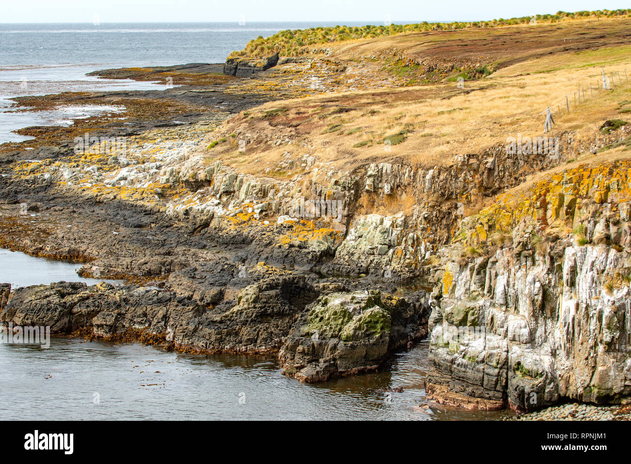 Rock Shelf on Bleaker Island, Falkland Islands Stock Photo - Alamy