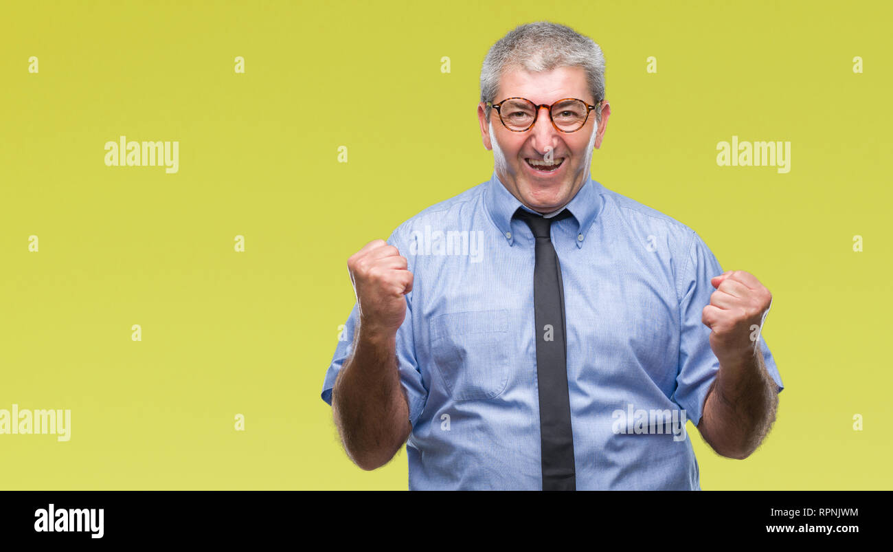 Handsome senior business man over isolated background very happy and ...