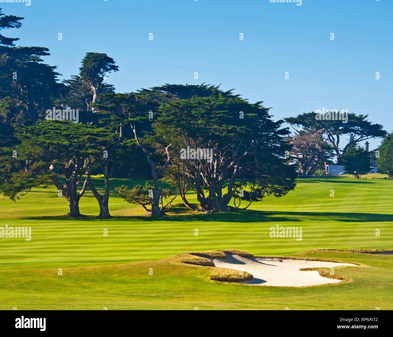 Sand Traps on Golf Course Stock Photo - Alamy