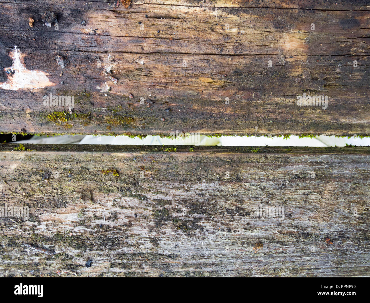 old wooden dirty surface of aged pavement Stock Photo - Alamy