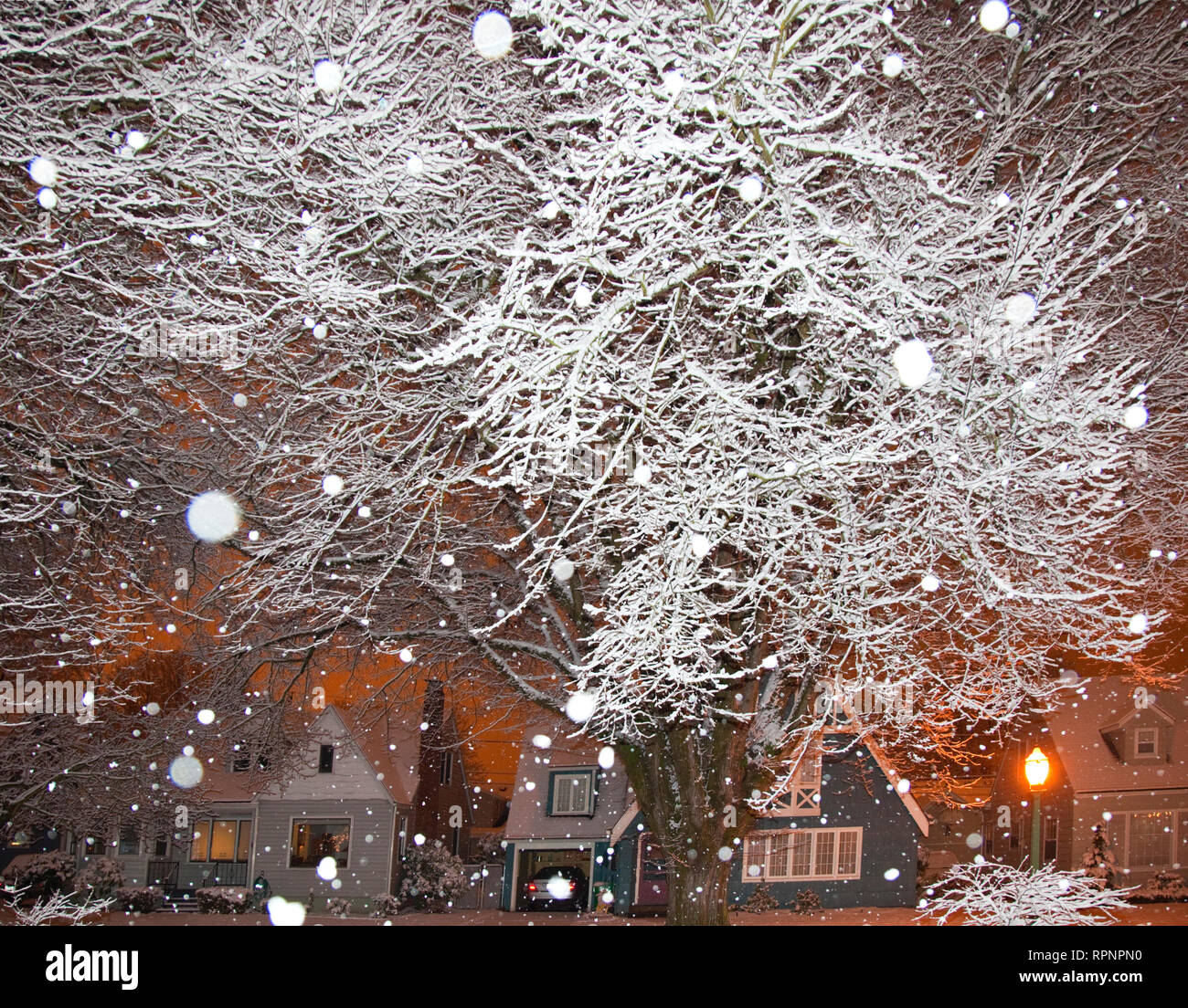 Falling Snow in a Neighborhood Stock Photo - Alamy