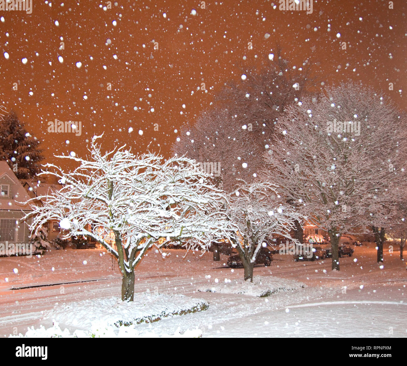 Falling Snow in a Neighborhood Stock Photo - Alamy