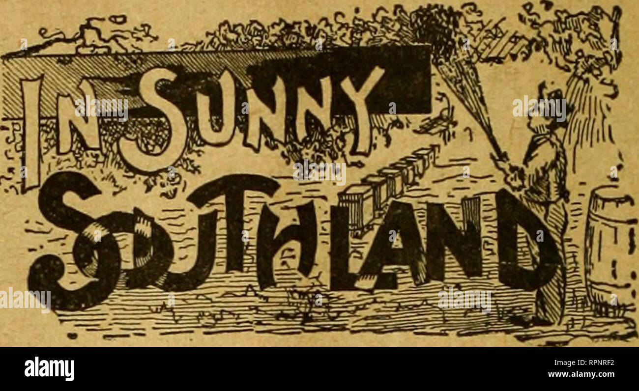 Robin riley hi-res stock photography and images - Alamy