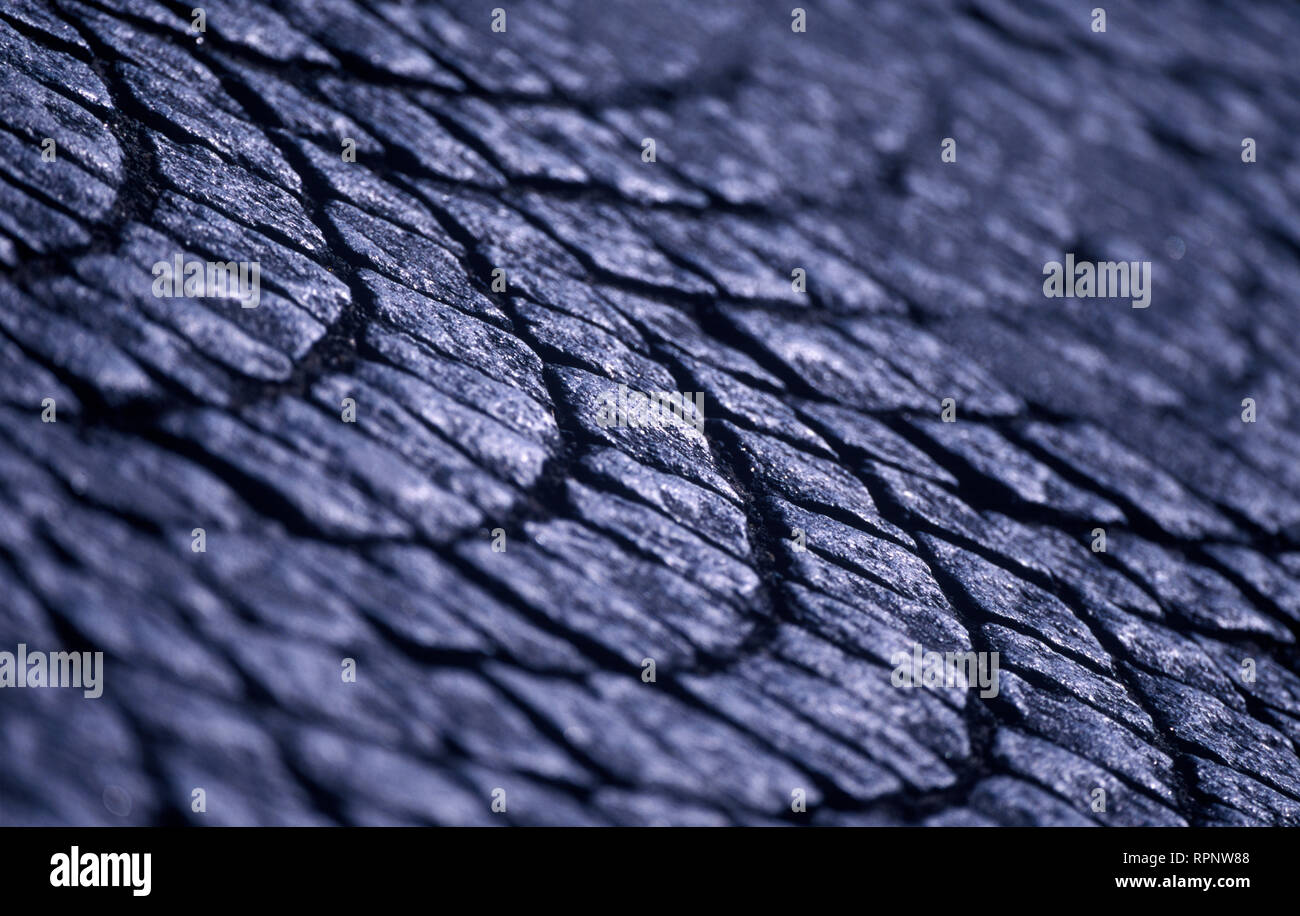 Square Paving Stones on Paris Street Stock Photo - Alamy