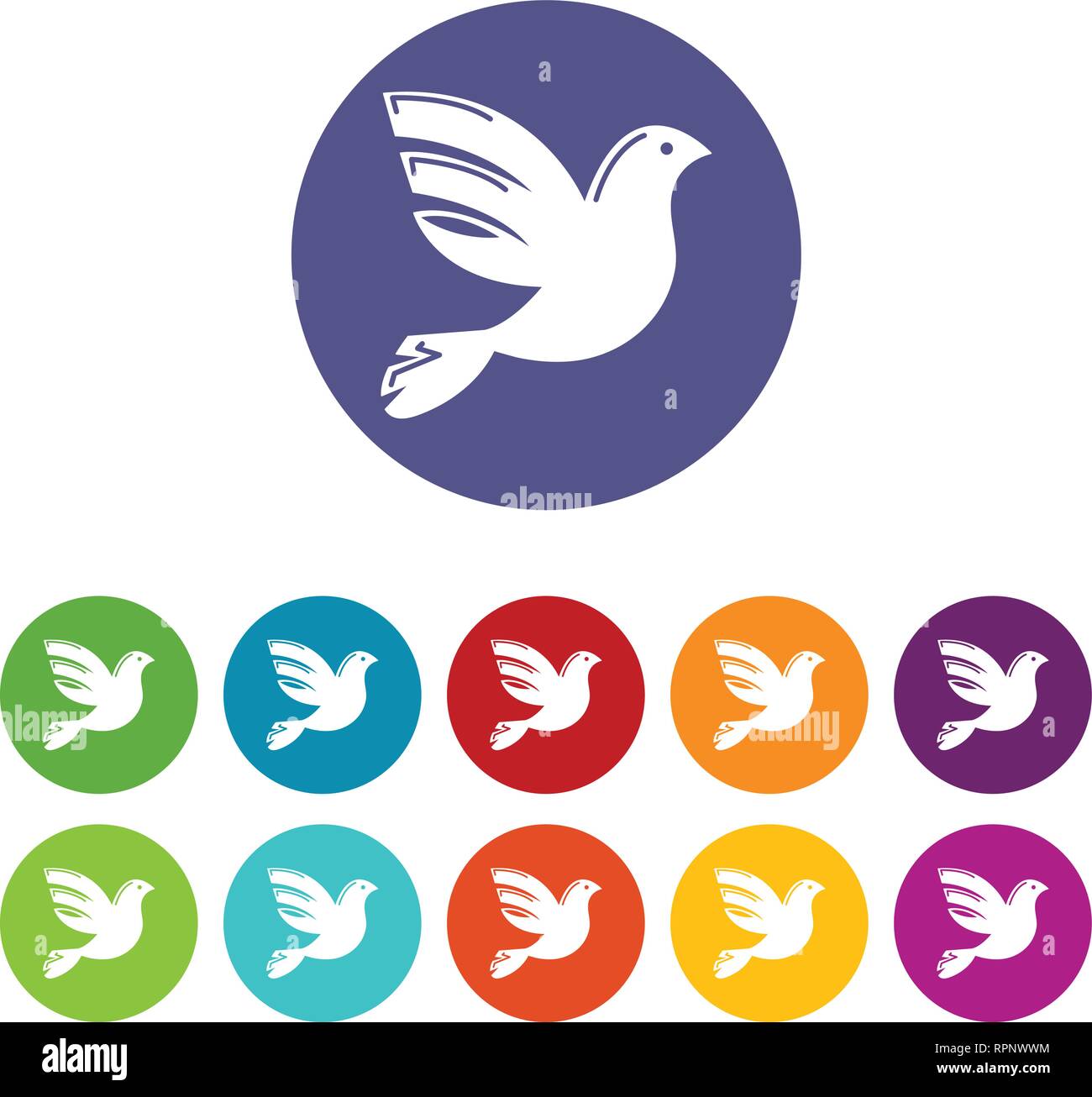 White peace pigeon icons set vector color Stock Vector Image & Art - Alamy