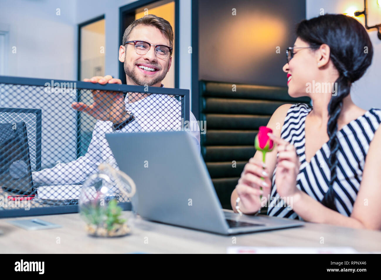 Positive delighted colleagues having pleasant talk together Stock Photo ...