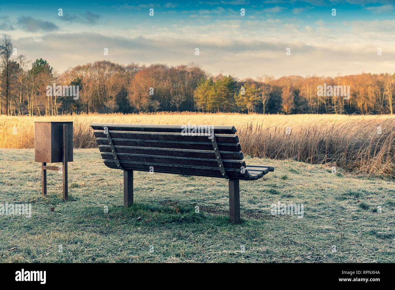 Wooden bench for rest and a garbage bin for waste in a park Stock Photo ...