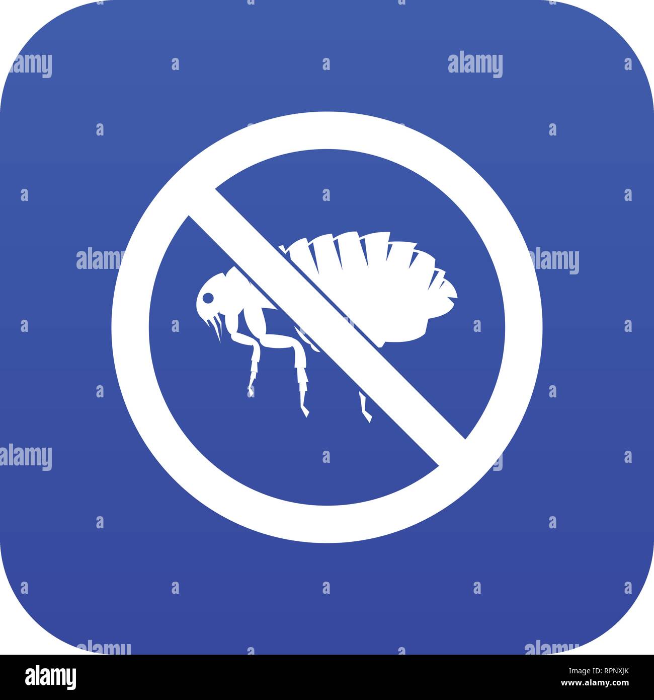 No flea sign icon digital blue Stock Vector Image & Art - Alamy