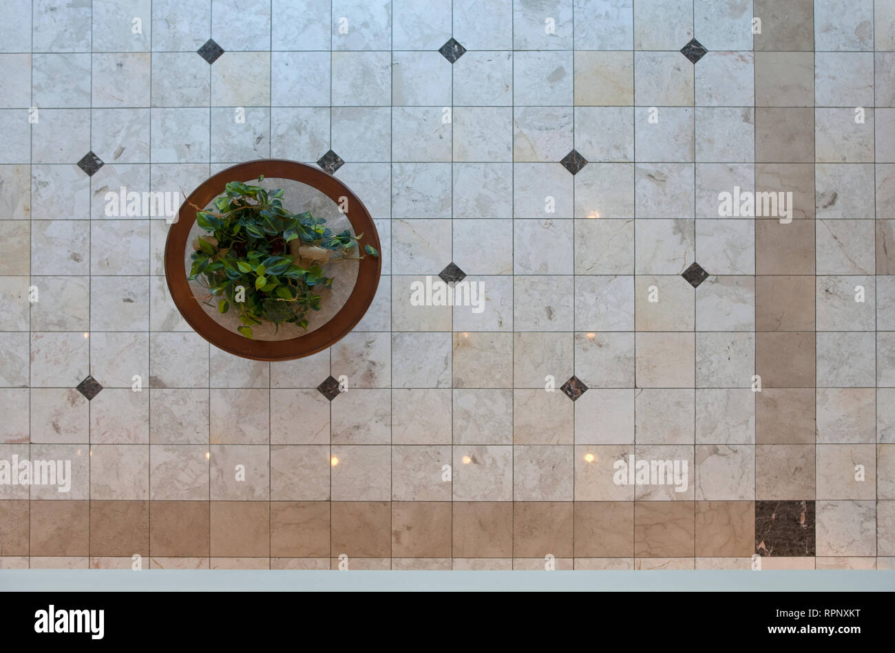 Potted Plant in Foyer Floor from Above Stock Photo - Alamy