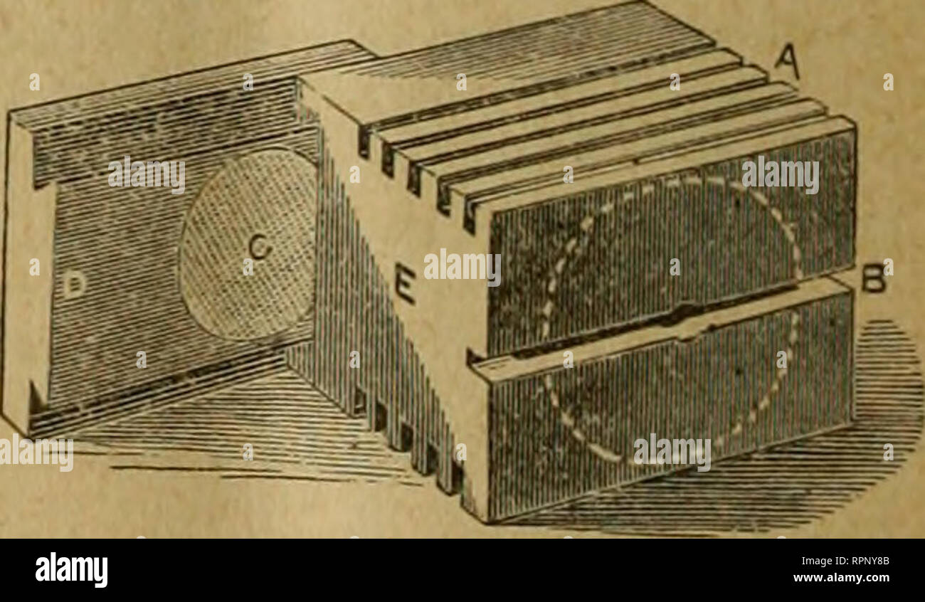 Fanny setting hi-res stock photography and images - Alamy