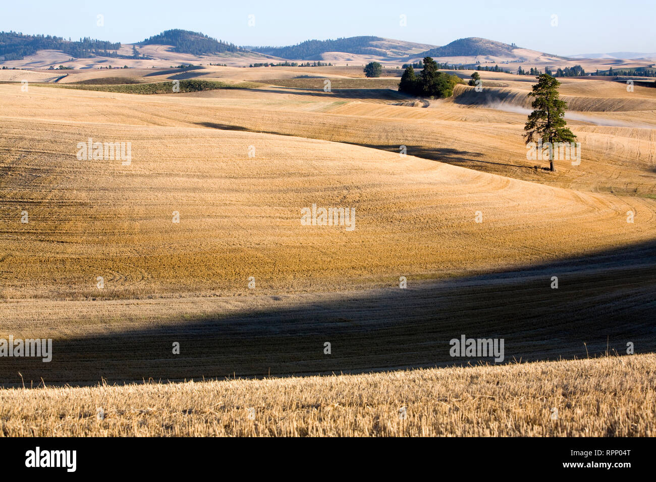 Palouse range hi-res stock photography and images - Alamy