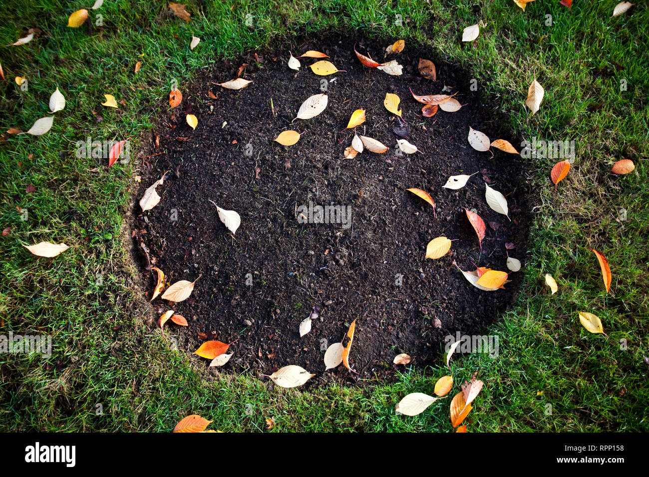 Circle in Grass with Leaves Stock Photo - Alamy
