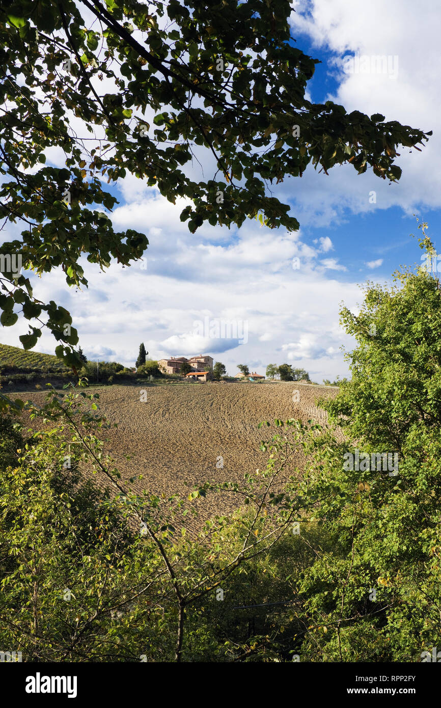 Farmhouse and Field Stock Photo - Alamy