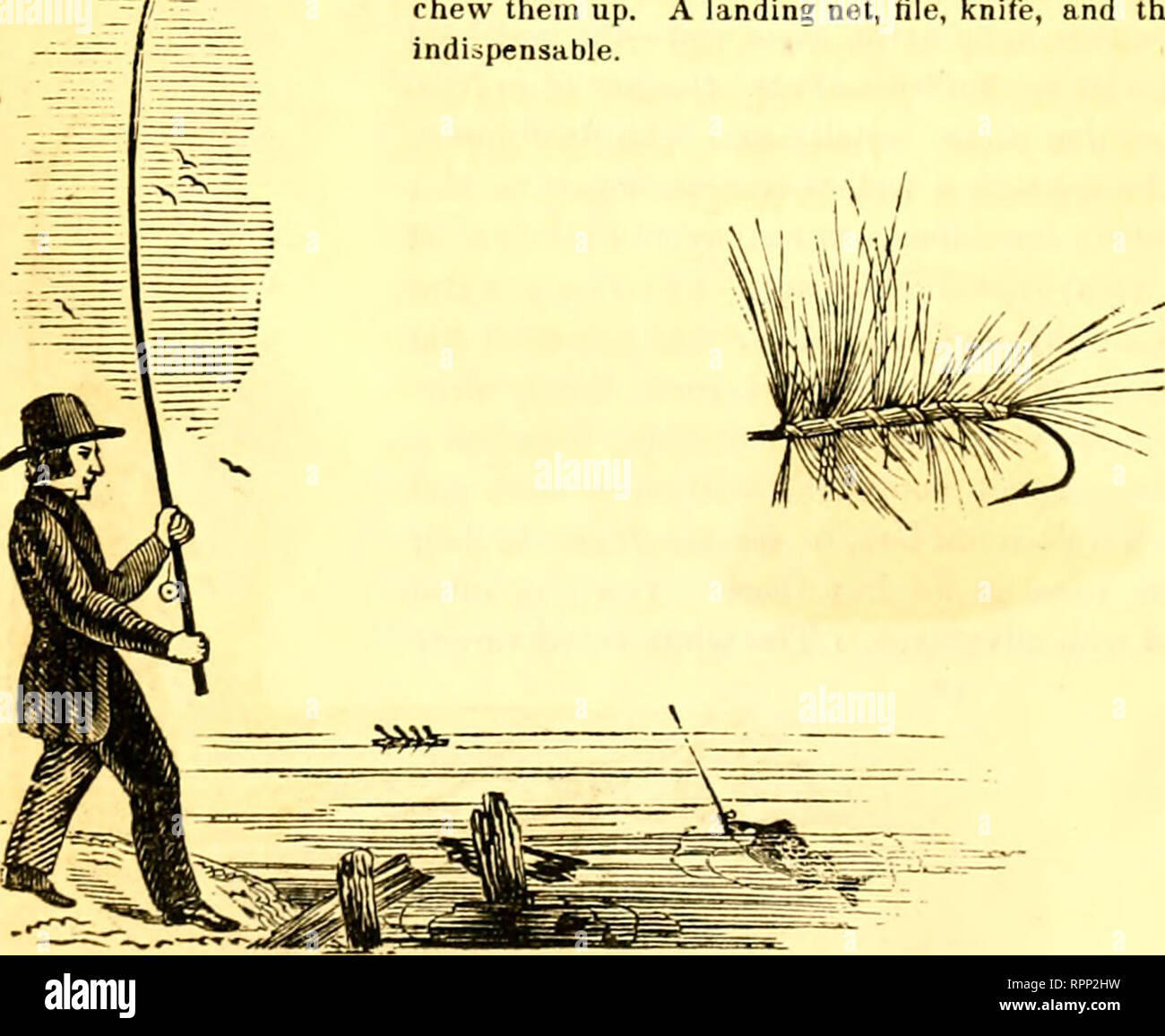 Throwing fish overboard hi-res stock photography and images - Alamy