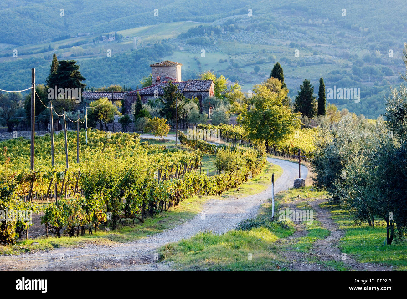 Vineyards and Farmhouse Stock Photo - Alamy