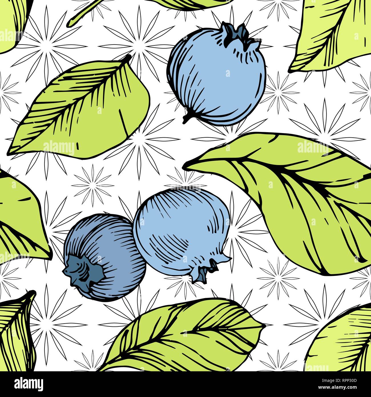 Vector Blueberry green and blue engraved ink art. Berries and green ...