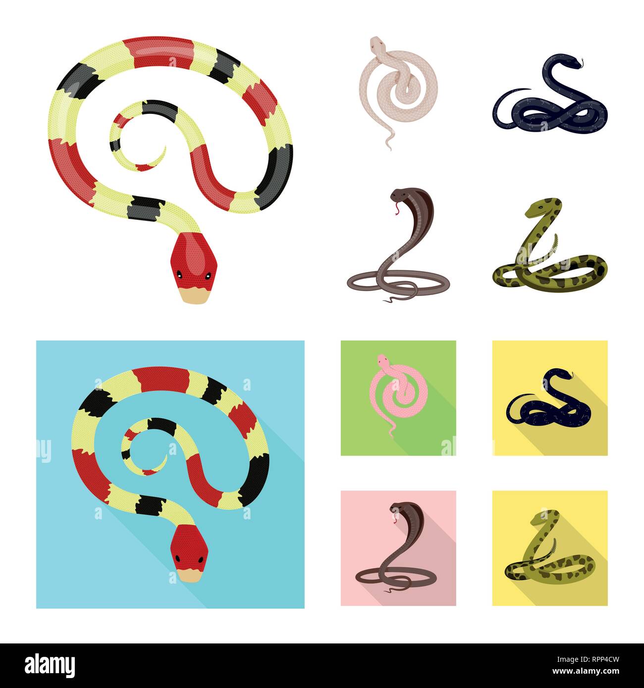 snake,viper,anaconda,cobra,coral,white,tail,python,red,animal,black ...