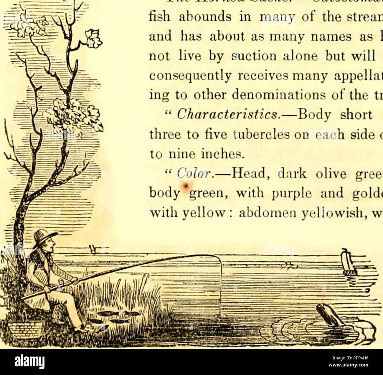 6 feet fish caught hi-res stock photography and images - Alamy