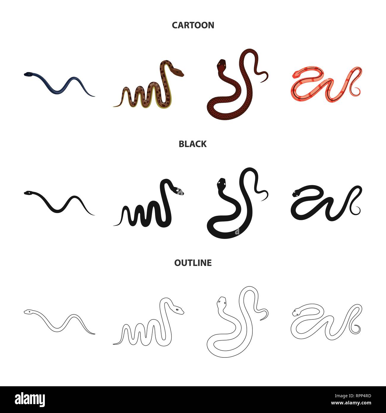 snake,tail,python,spiral,jungle,forest,large,brazil,leather,tropical ...