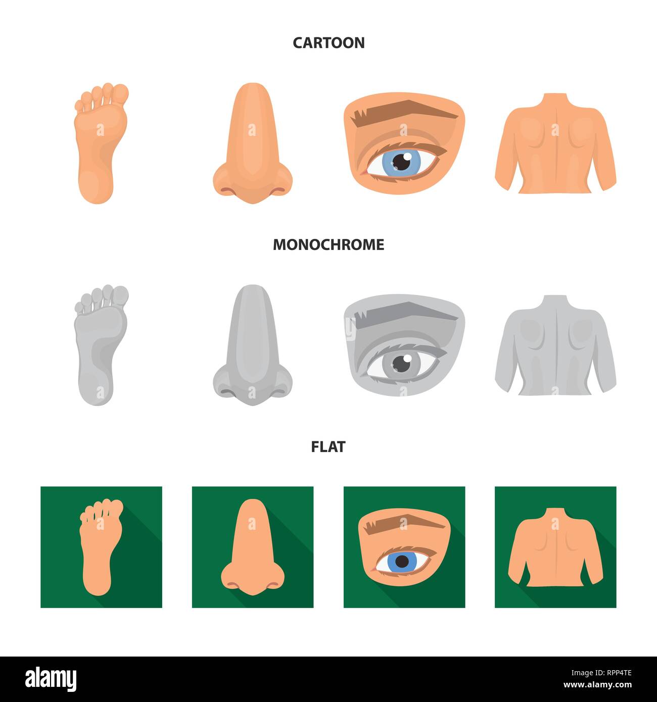Isolated object of body and part icon. Collection of body and anatomy ...
