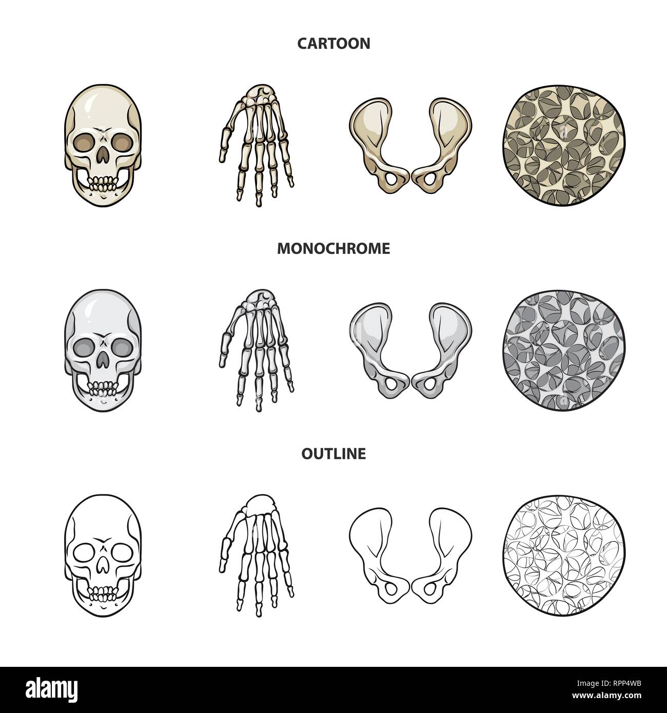 skull,wrist,hip,osteoporosis,death,hand,joint,cell,monster,calcium ...
